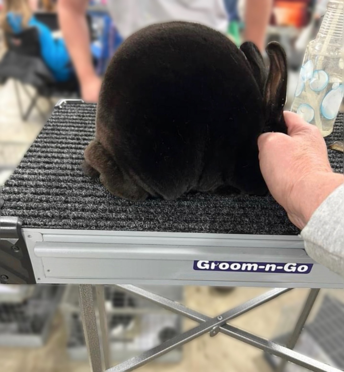 Groom-N-Go ™ Pro, Tranquil Blue